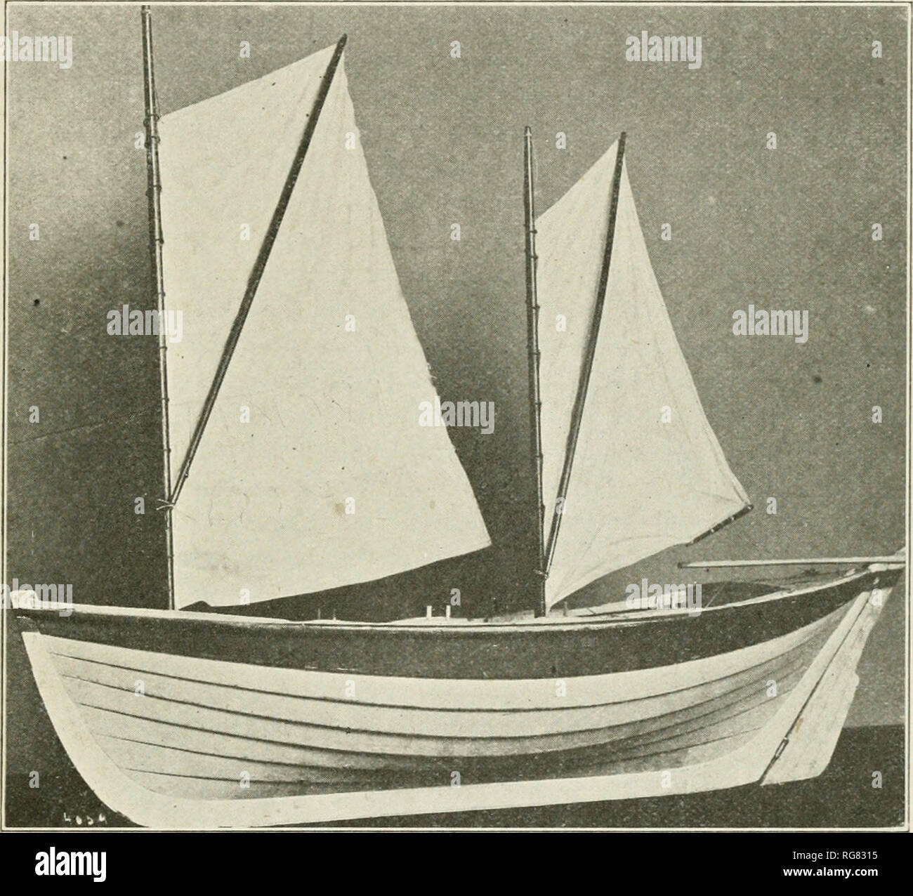 . Bulletin - United States National Museum. Science. CATALOGUE OF THE ...