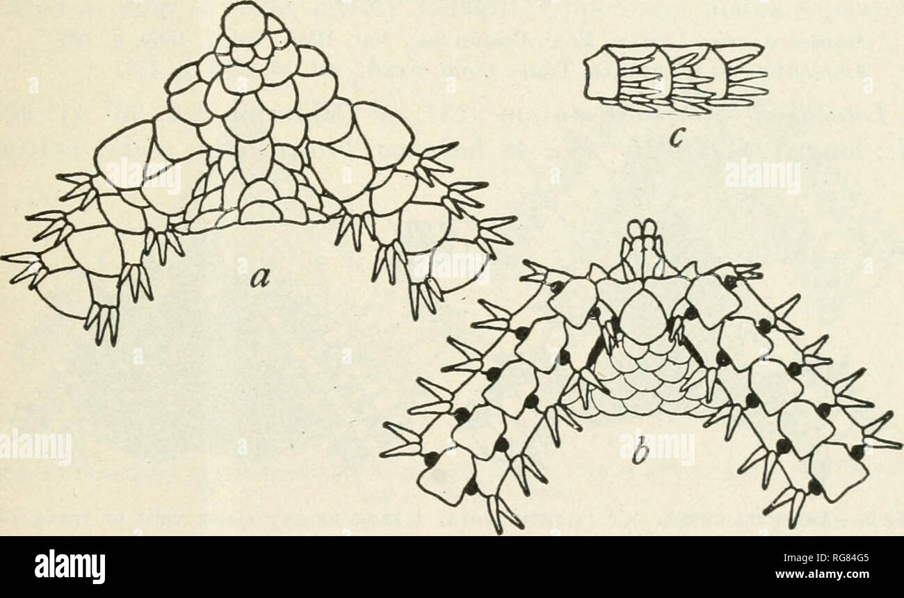 . Bulletin - United States National Museum. Science. NORTH PACIFIC ...