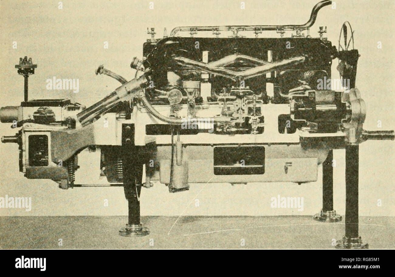 . Bulletin - United States National Museum. Science. CATALOGUE OF THE ...