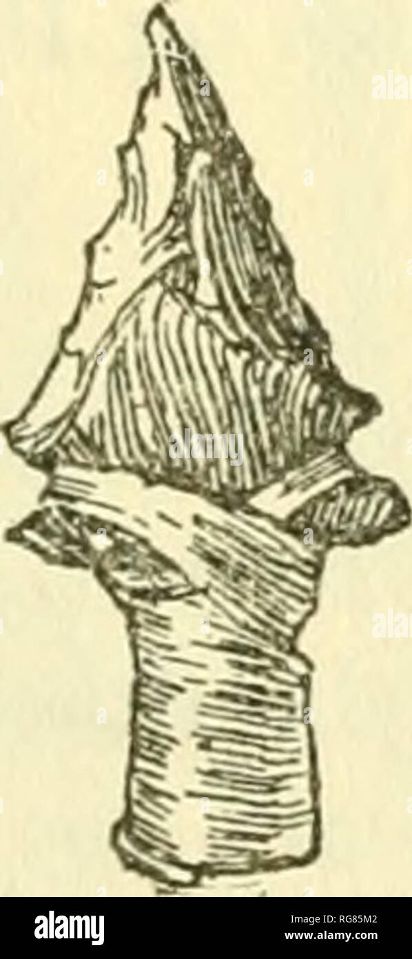 Lashing point hi-res stock photography and images - Alamy