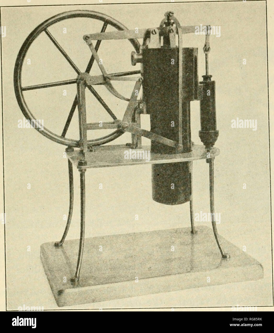 . Bulletin - United States National Museum. Science. CATALOGUE OF THE ...