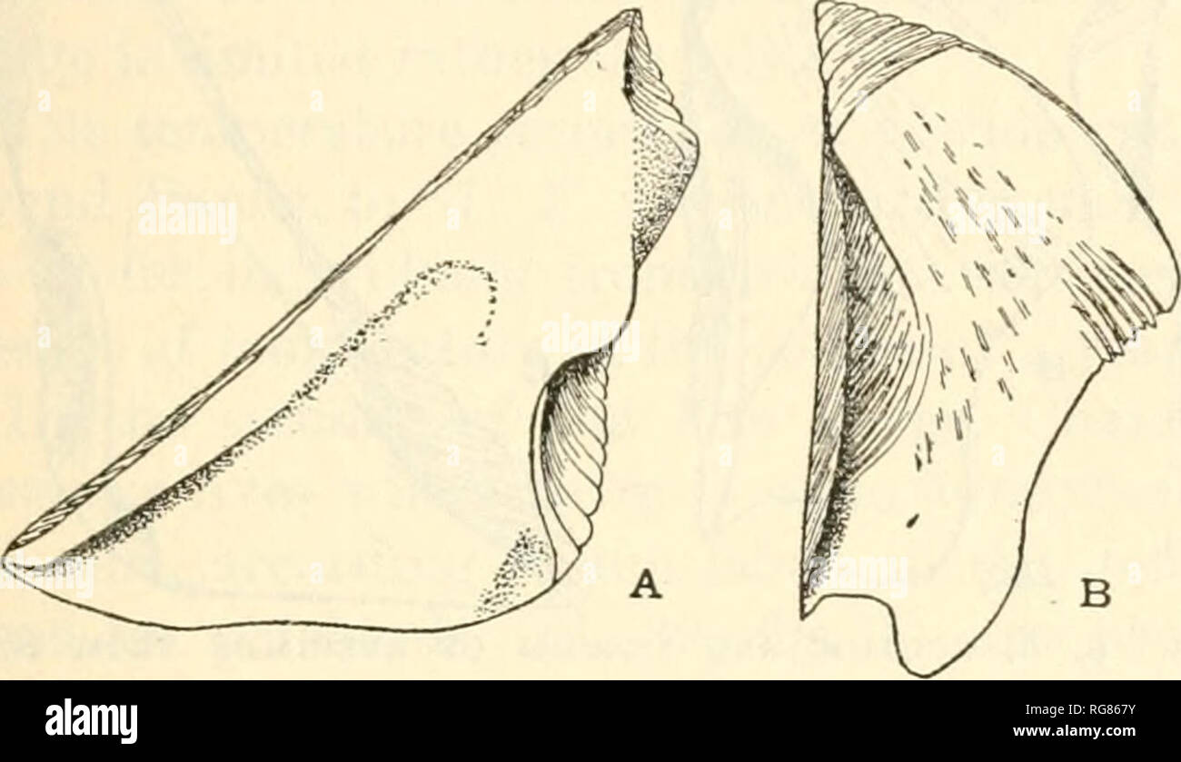 Inglefield gulf hi-res stock photography and images - Alamy