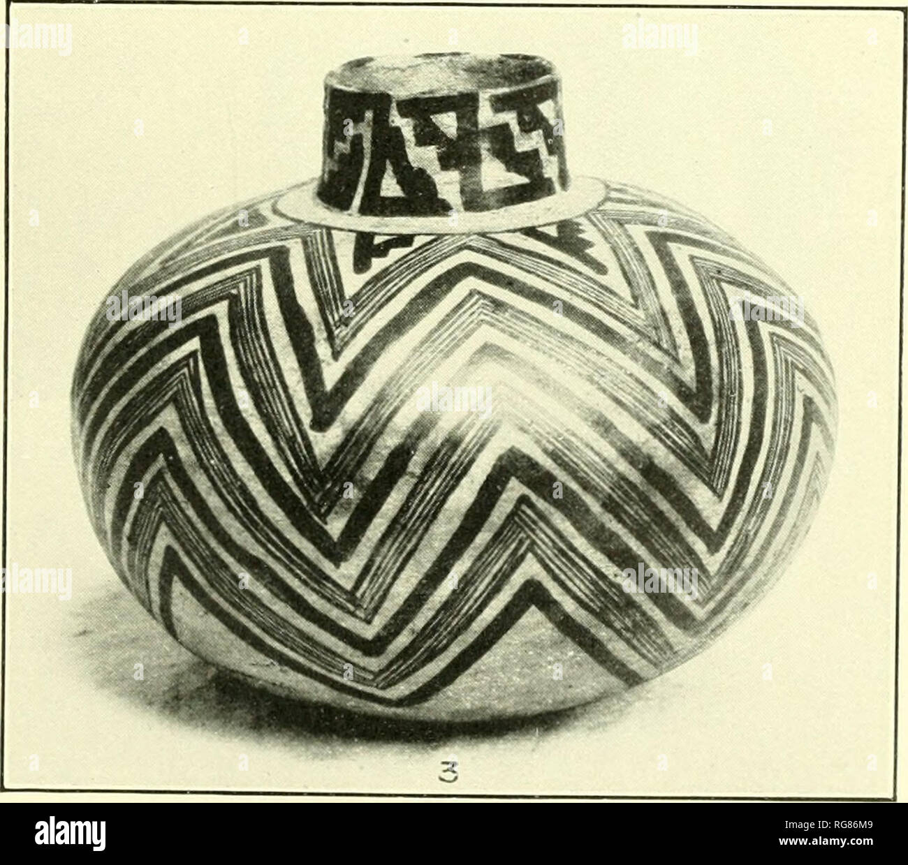 . Bulletin - United States National Museum. Science. Gray Ware from ...