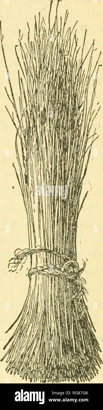 Flimsy houses hi-res stock photography and images - Alamy