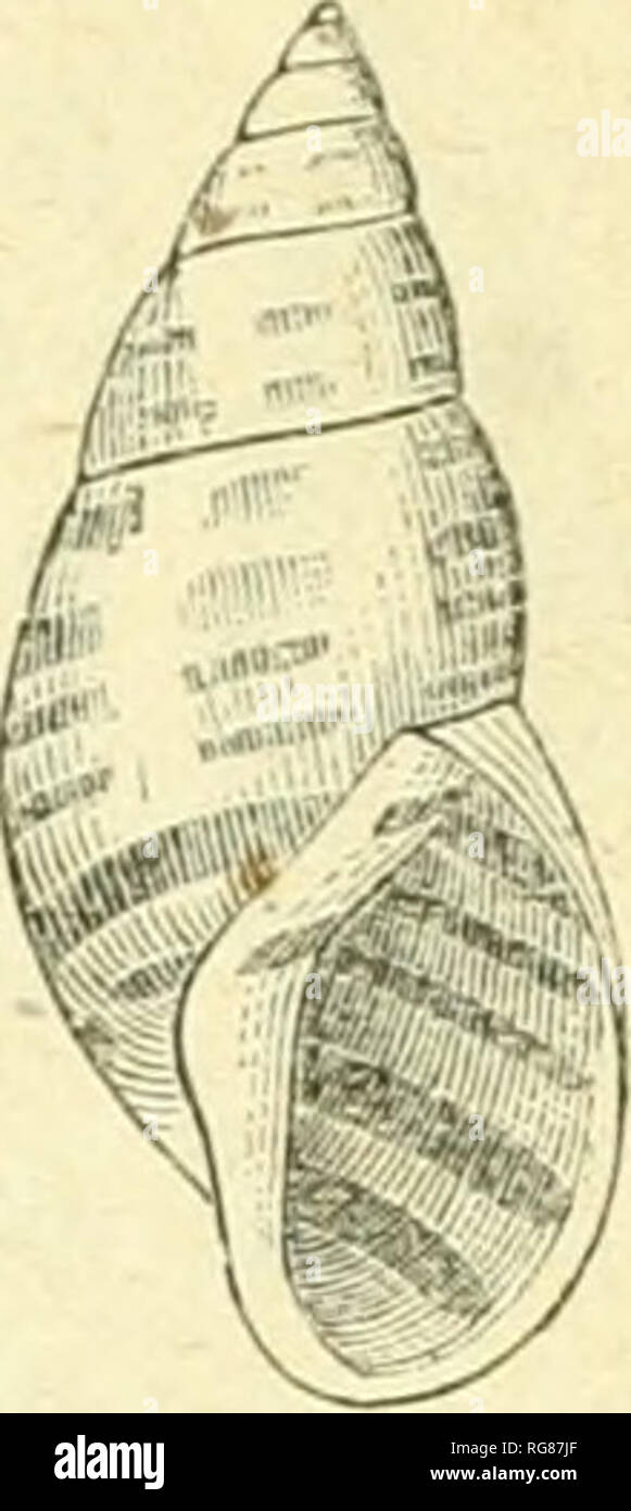 Continued suture hi-res stock photography and images - Alamy