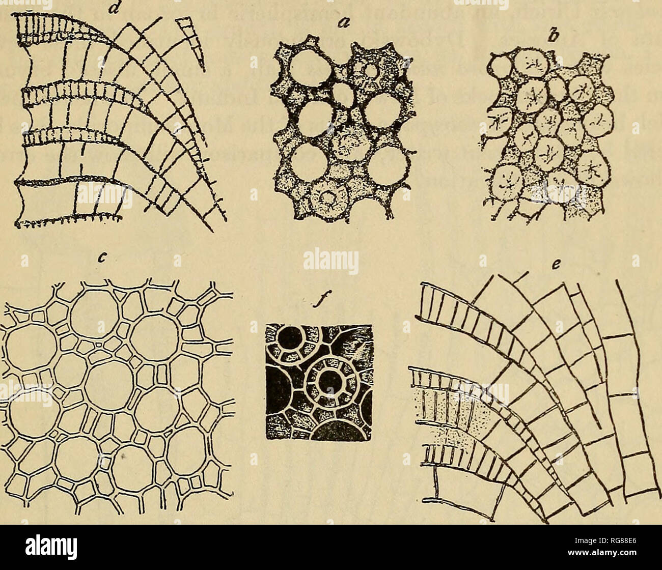 Dago island hi-res stock photography and images - Alamy