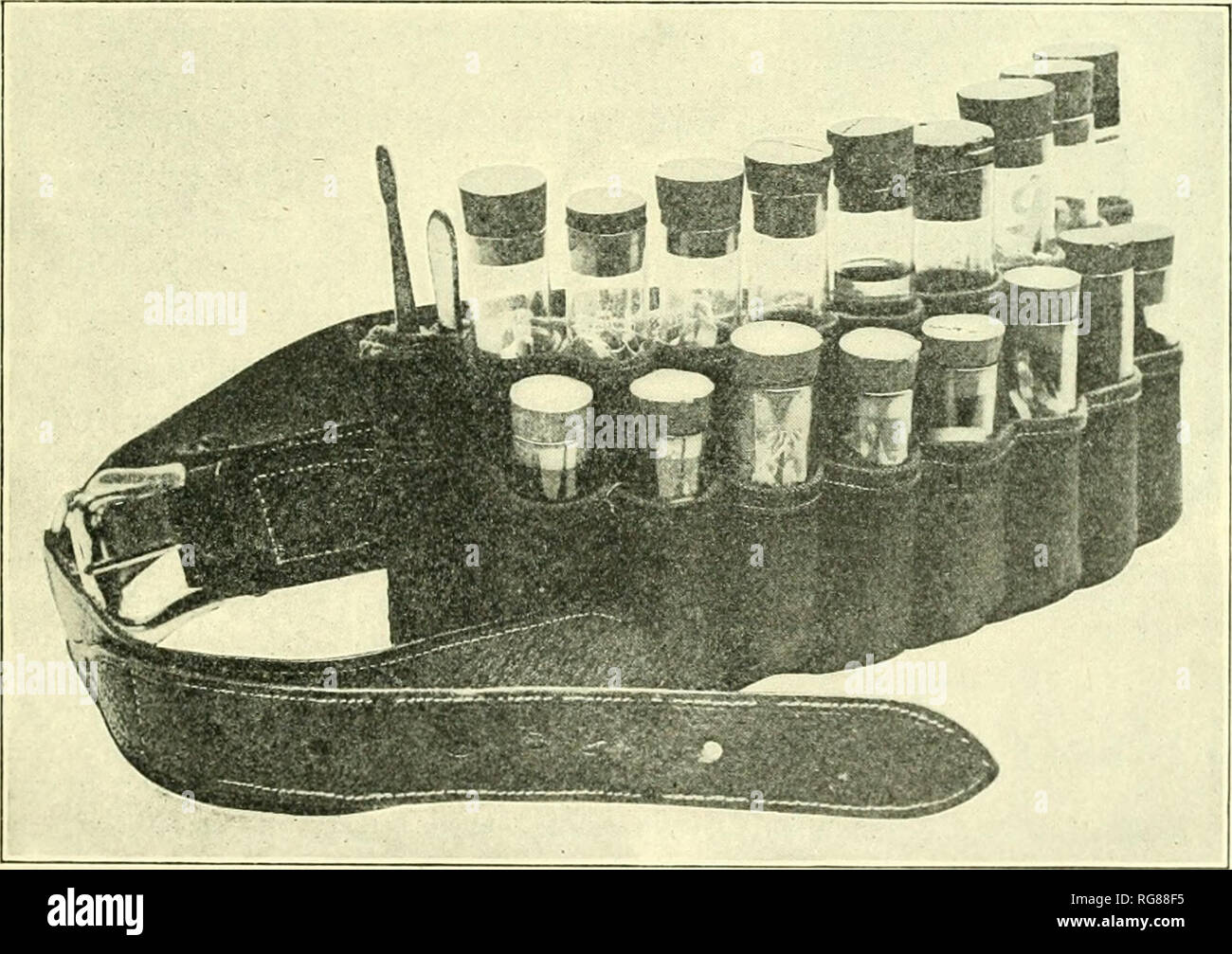 Entomological pin hi-res stock photography and images - Alamy