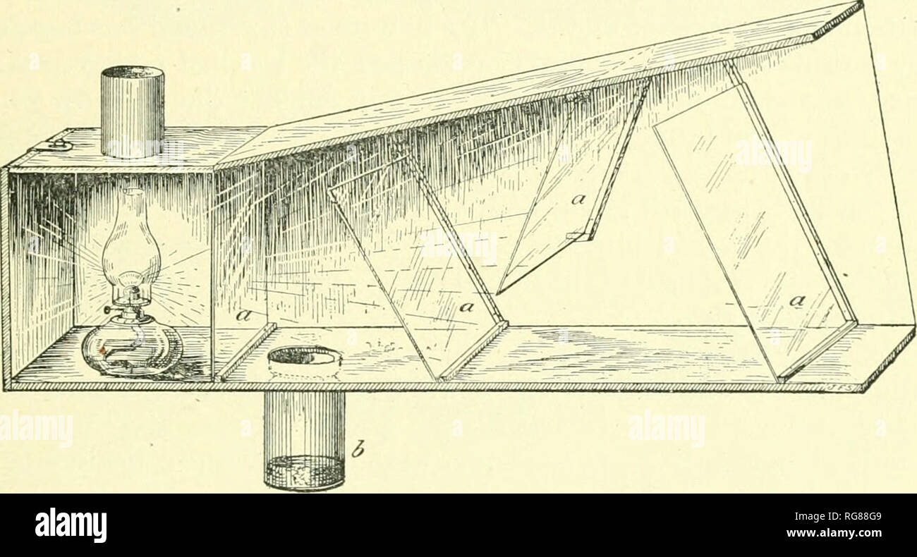 Moth trap night flying hi-res stock photography and images - Alamy