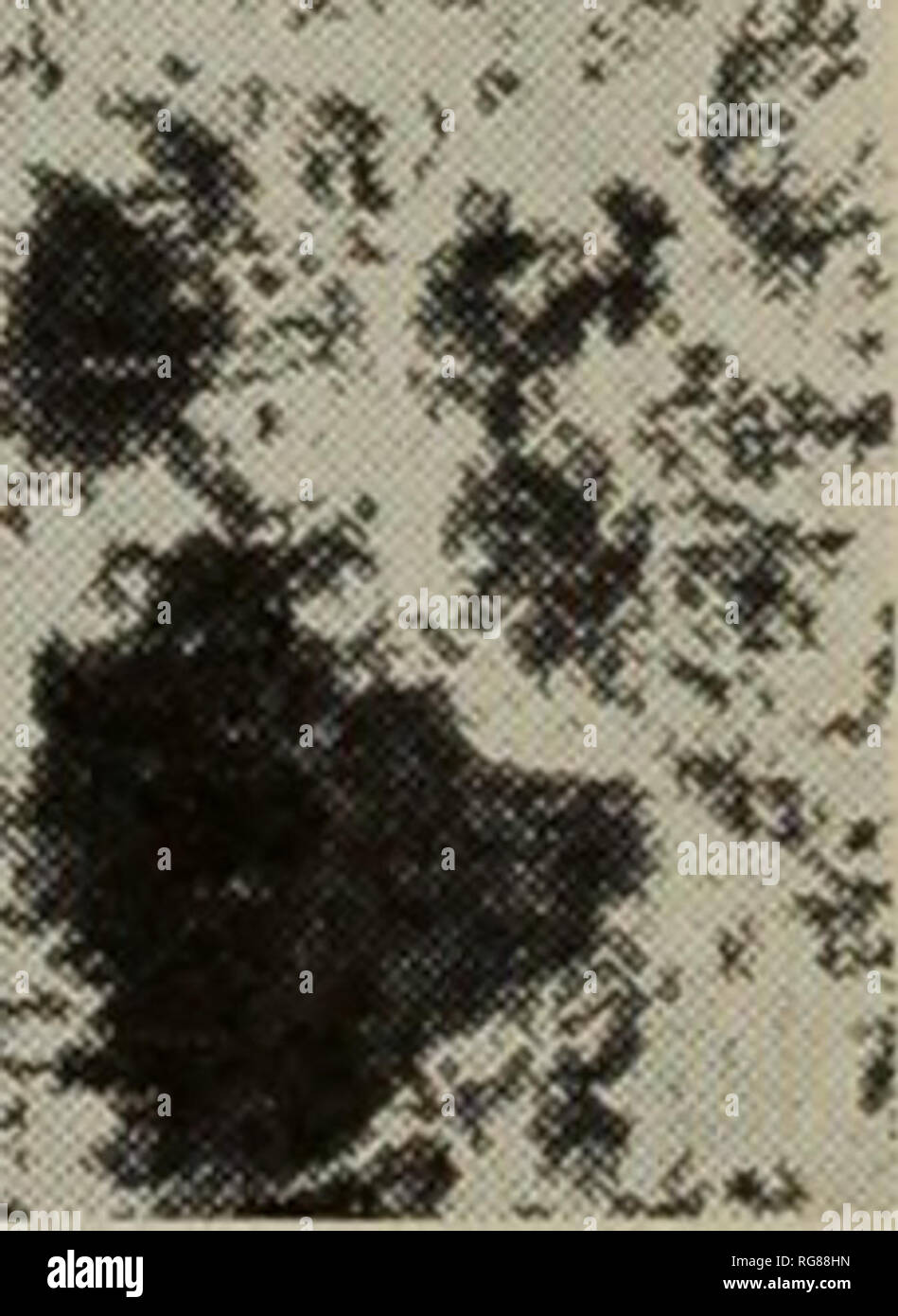 . [Bulletins on forest pathology : from Bulletin U.S.D.A., Washington ...