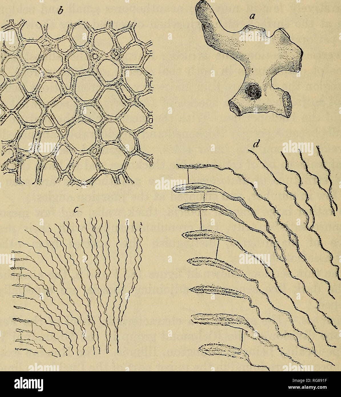 Crinkling hi-res stock photography and images - Alamy