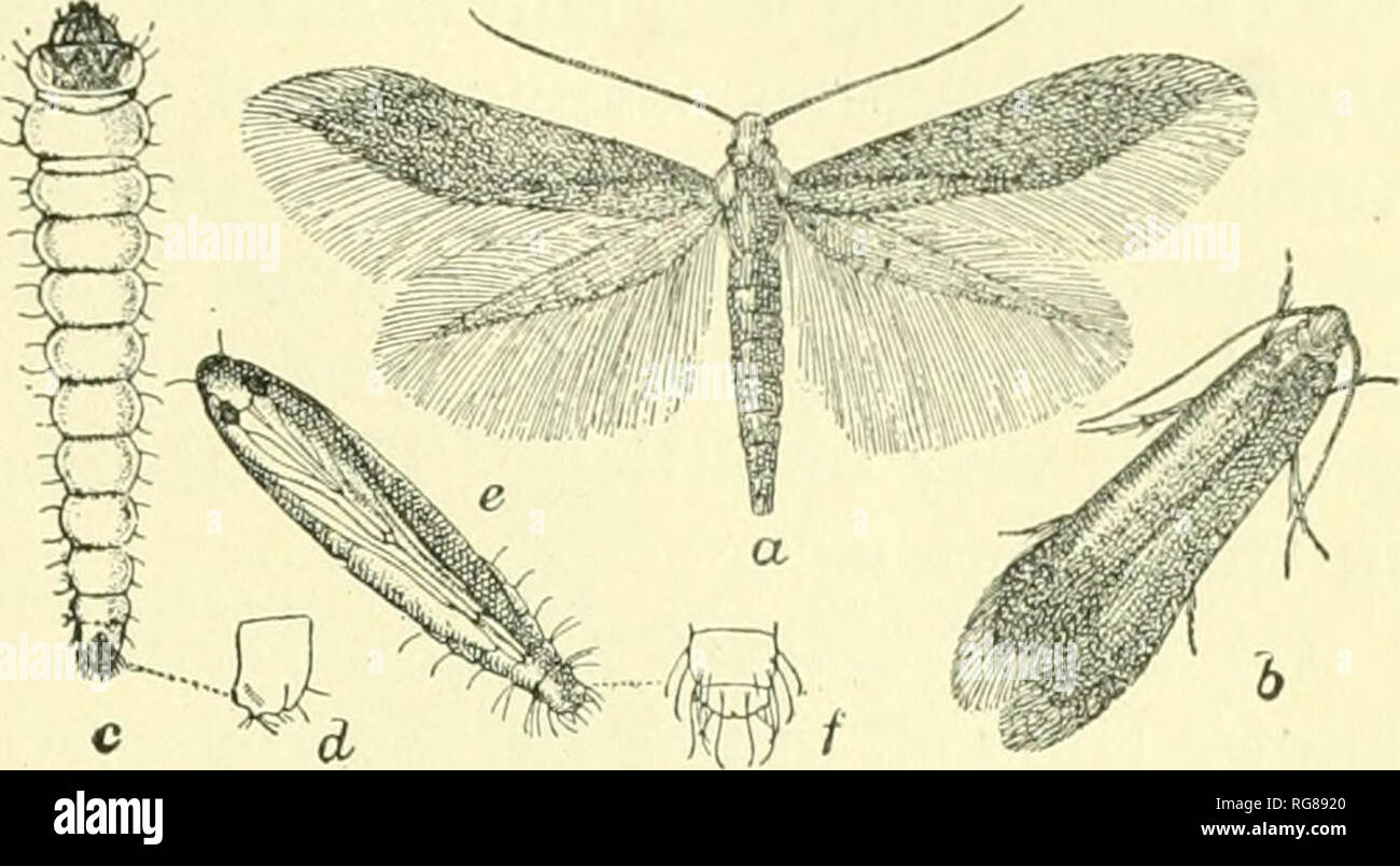 Tig triangular hi-res stock photography and images - Alamy