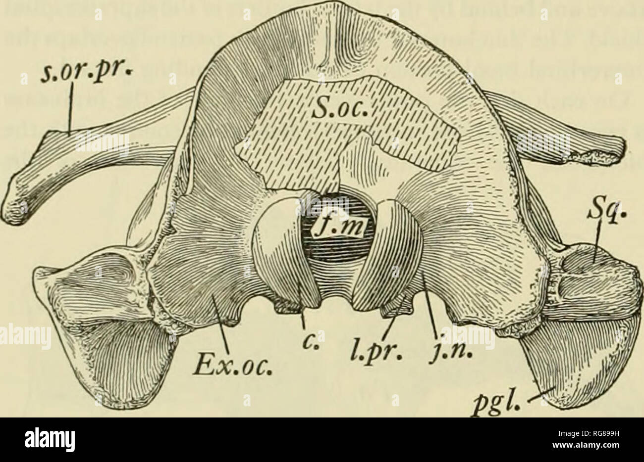Backward projection hi-res stock photography and images - Alamy