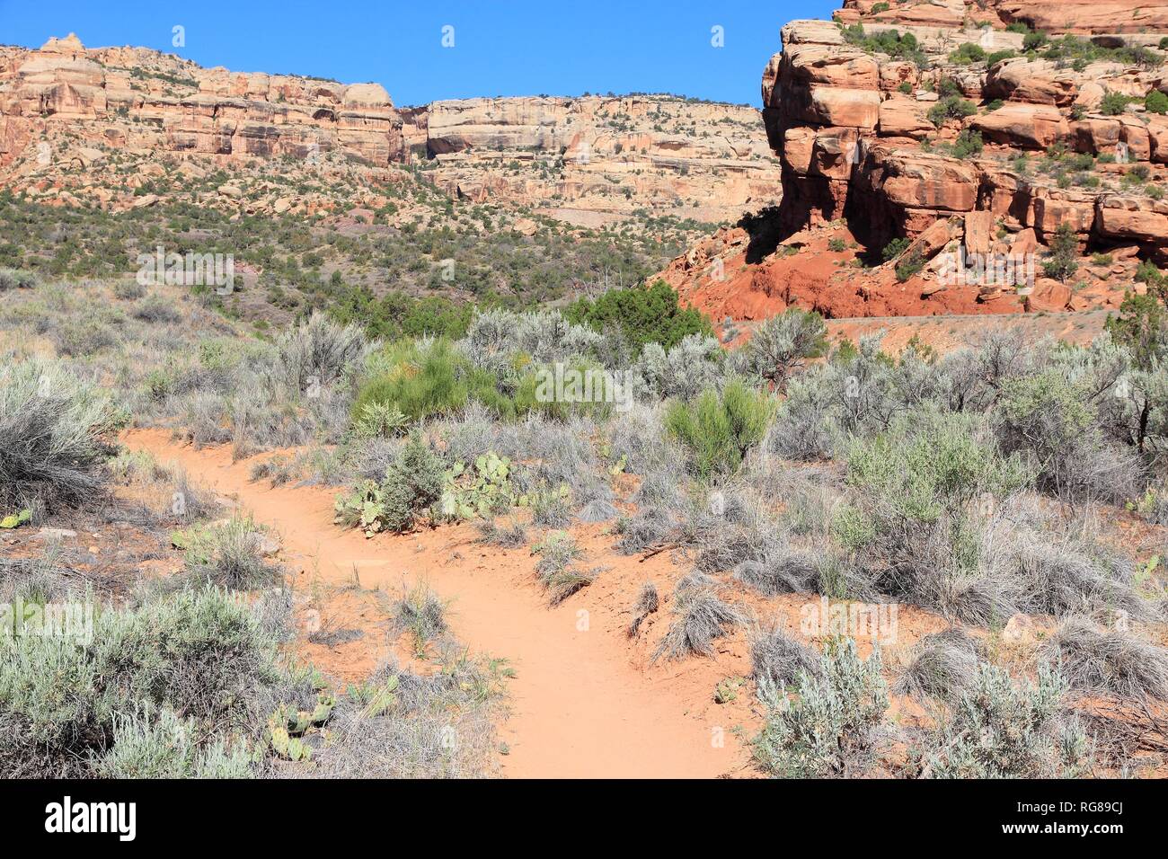 United States nature - Colorado National Monument. Hiking trail path ...