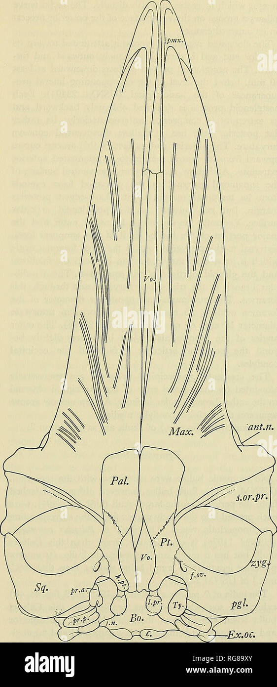 . Bulletin - United States National Museum. Science. tTNRECOGNIZED ...
