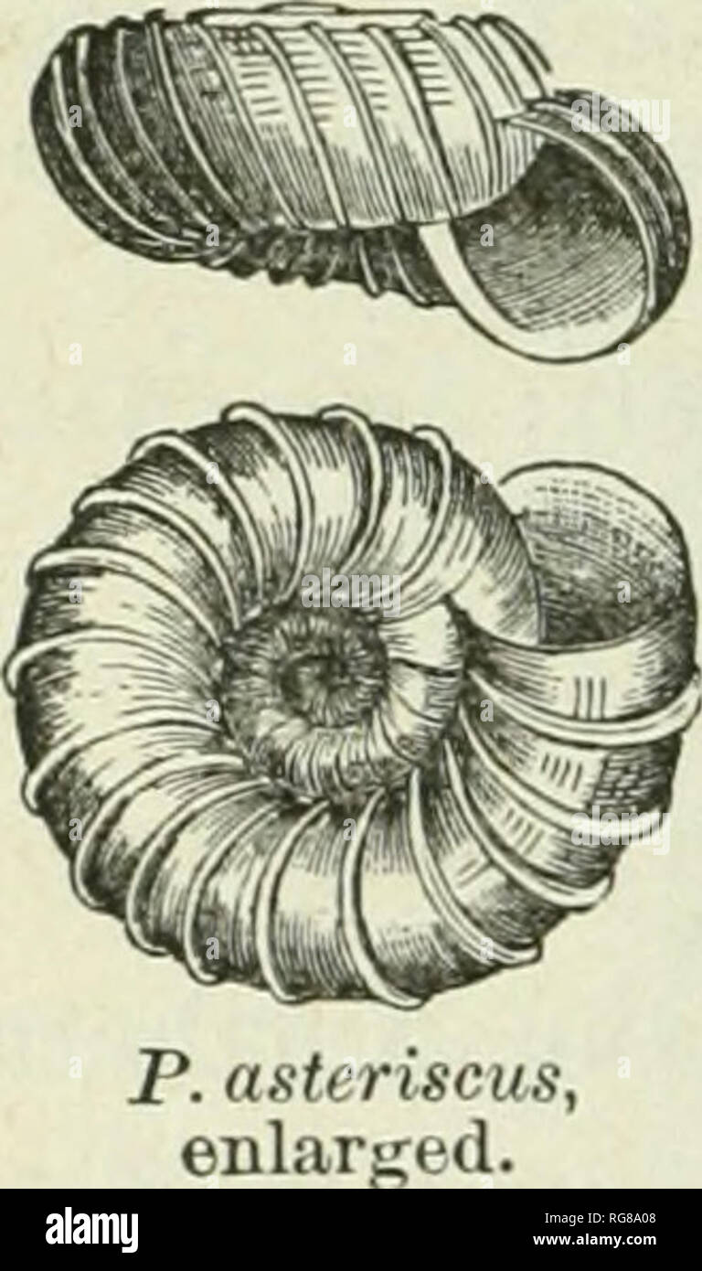 Disk like mouth hi-res stock photography and images - Alamy