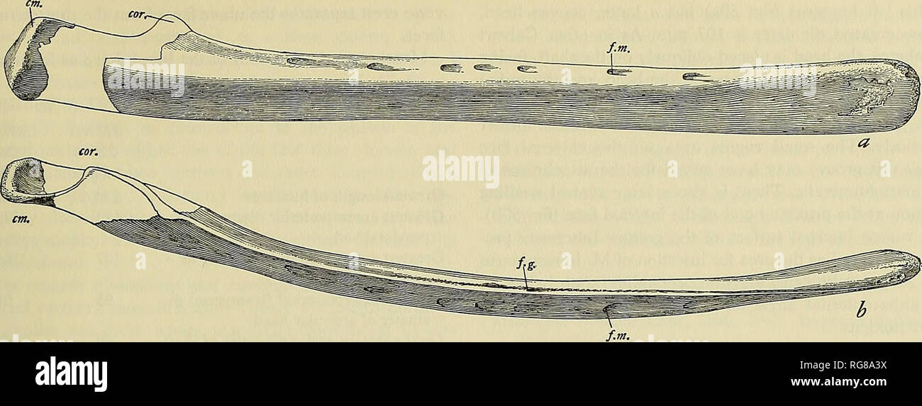 1128 m hi-res stock photography and images - Alamy