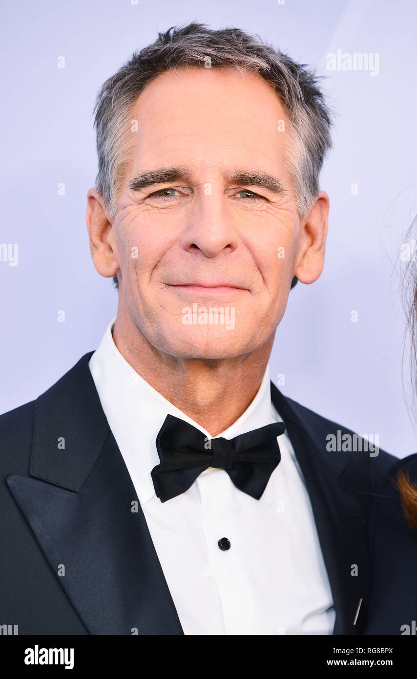 Scott Bakula 2017