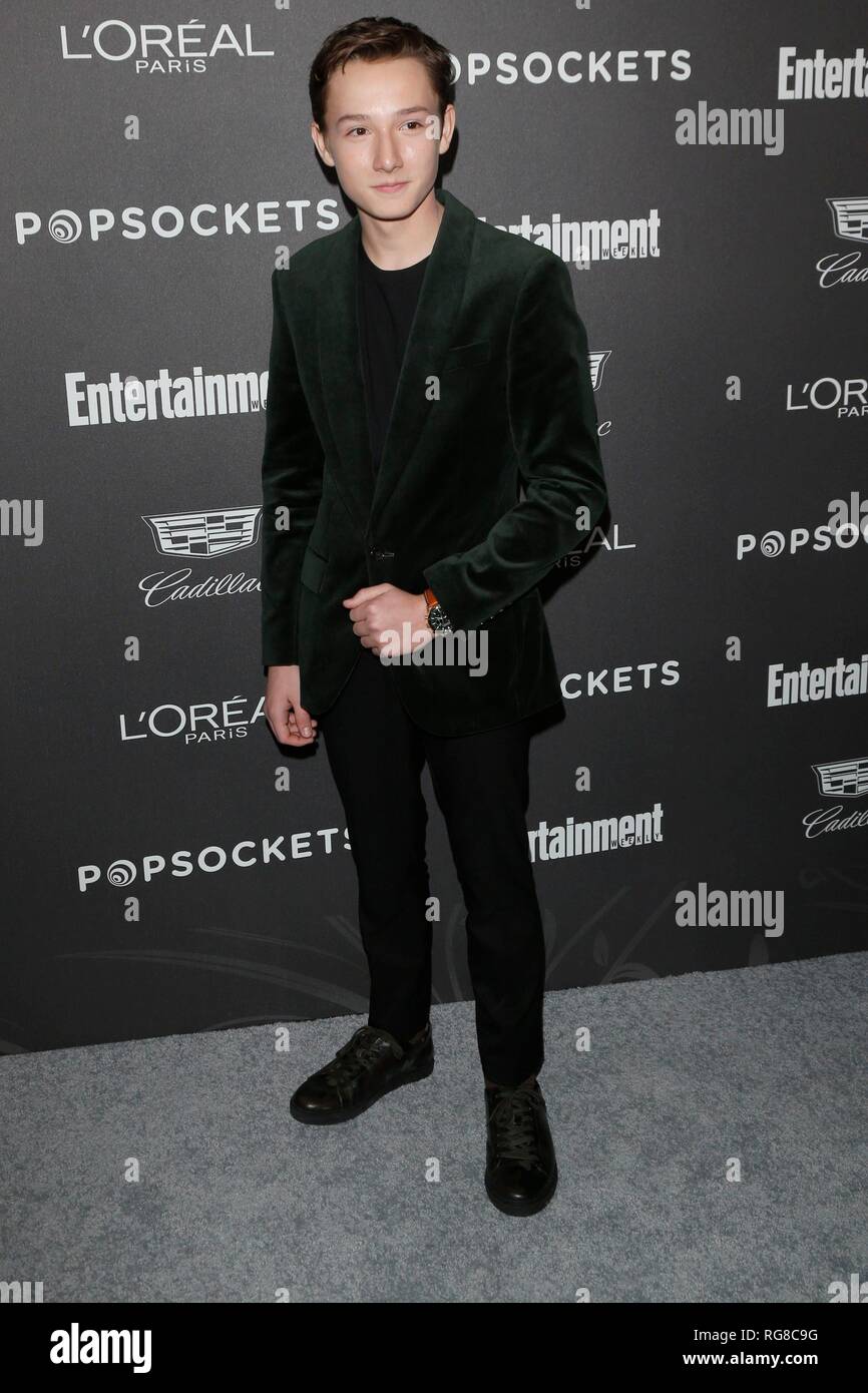 Los Angeles, CA, USA. 26th Jan, 2019. Skylar Gaertner at arrivals for ...