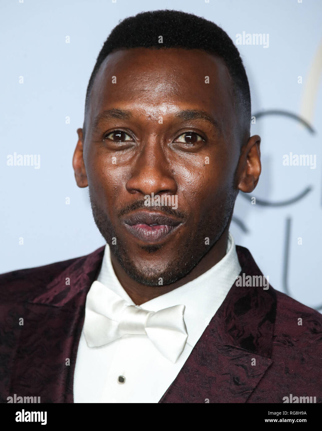Los Angeles, California, USA. 27th Janaury 2019. Actor Mahershala Ali ...