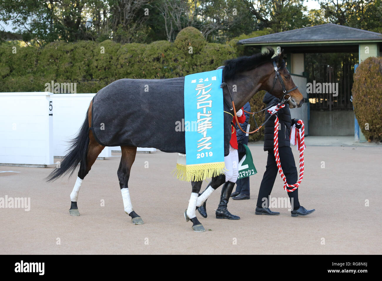 Kyoto, Japan. 27th Jan, 2019. Danon Smash Horse Racing : Danon Smash ...