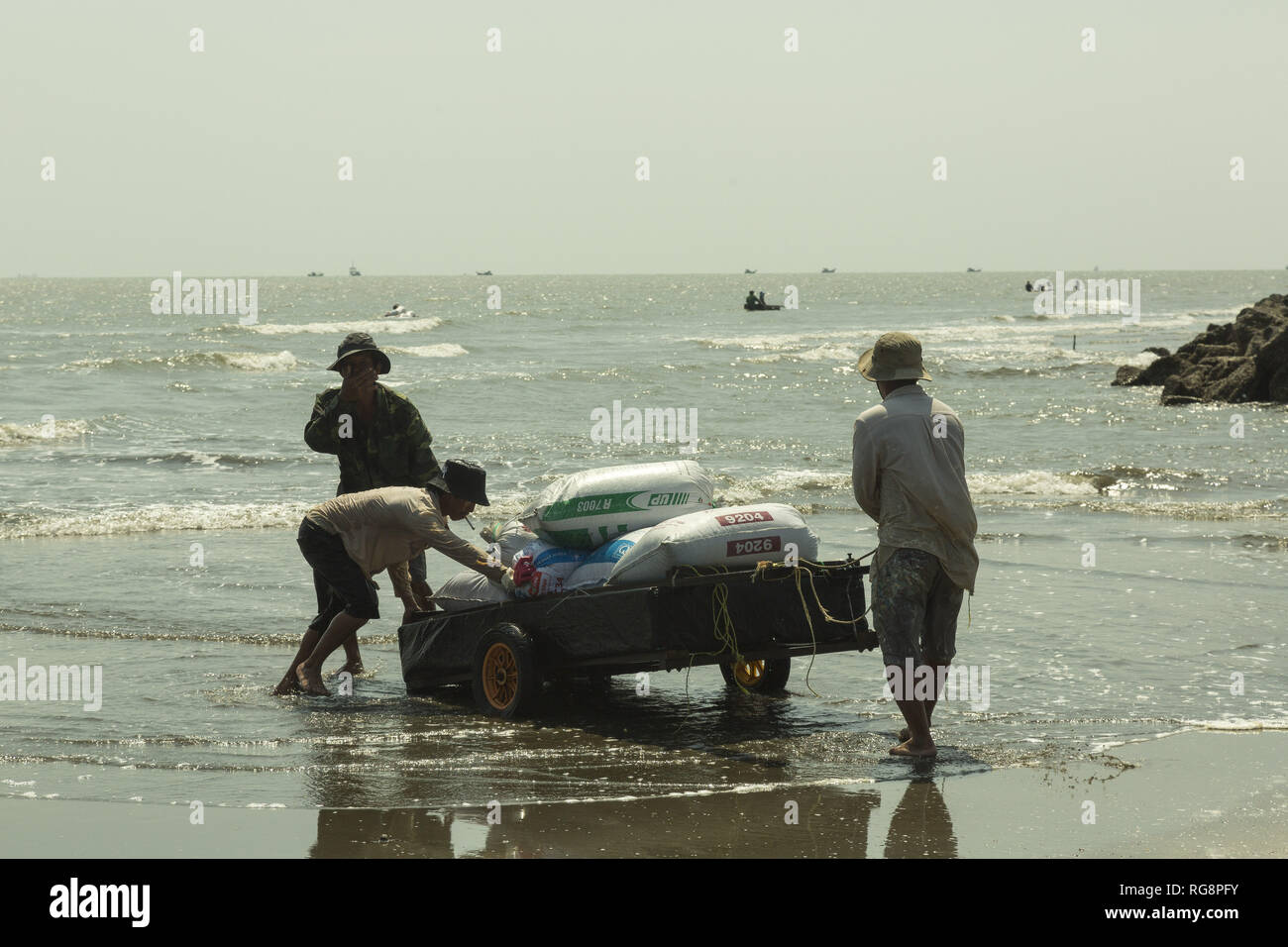 Jasmin krpan hi-res stock photography and images - Alamy