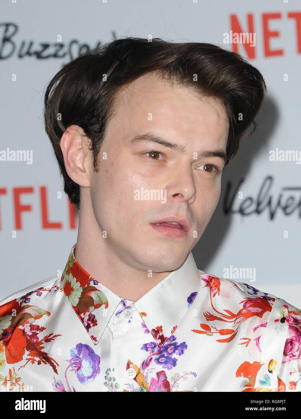 Los Angeles, CA, USA. 28th Jan, 2019. Charlie Heaton at arrivals for ...