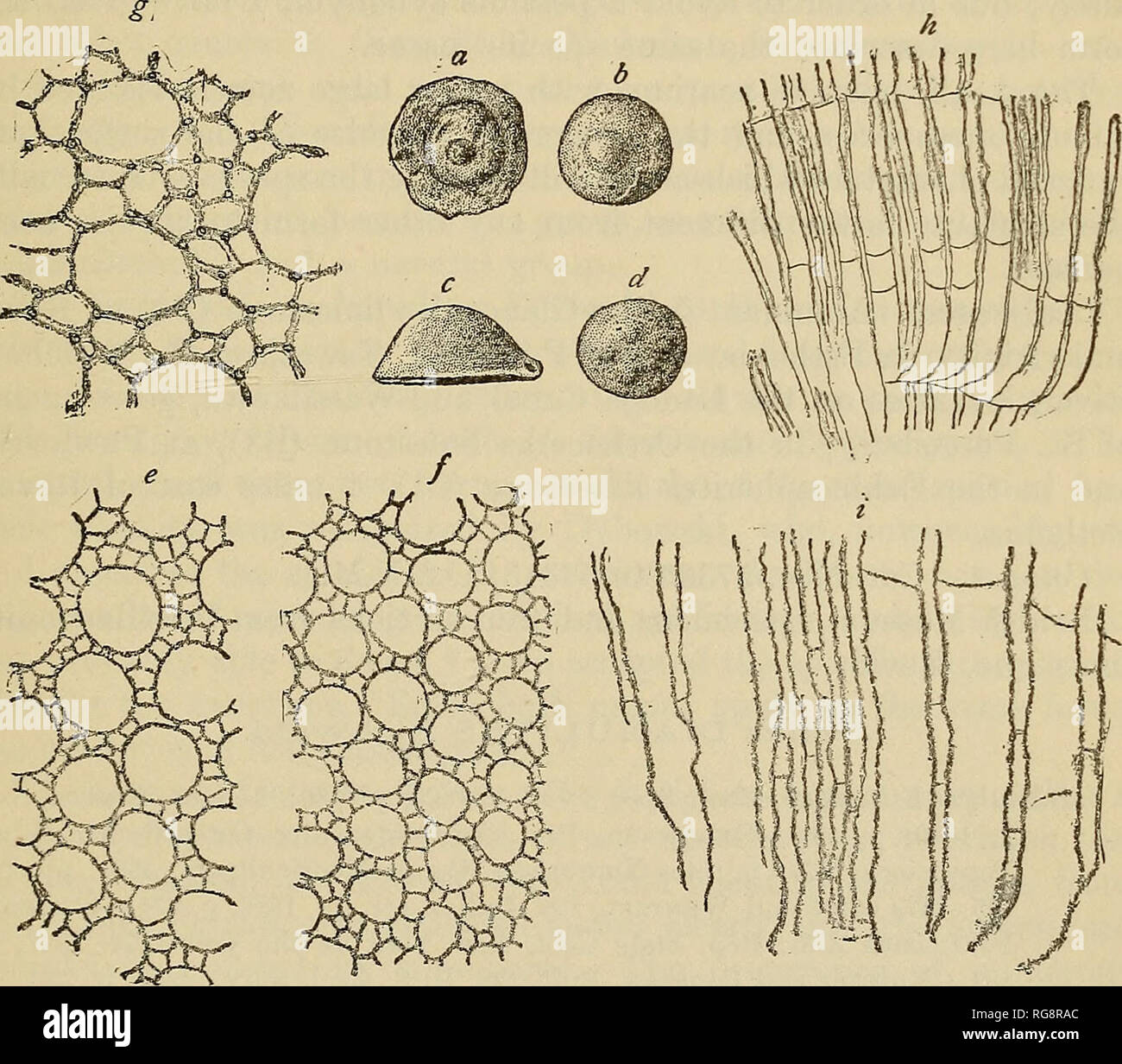 . Bulletin - United States National Museum. Science. less in diameter ...