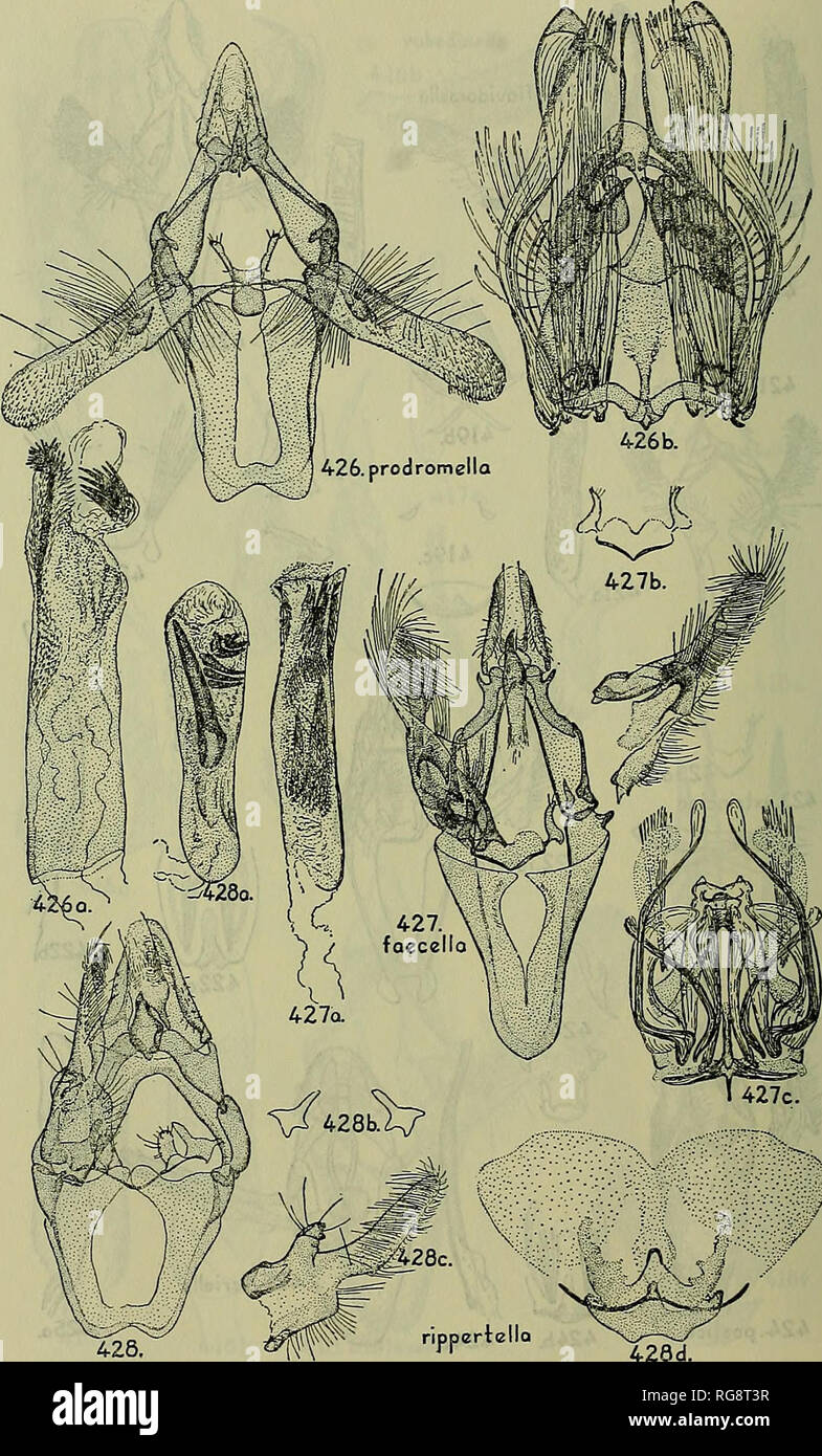 428a hi-res stock photography and images - Alamy