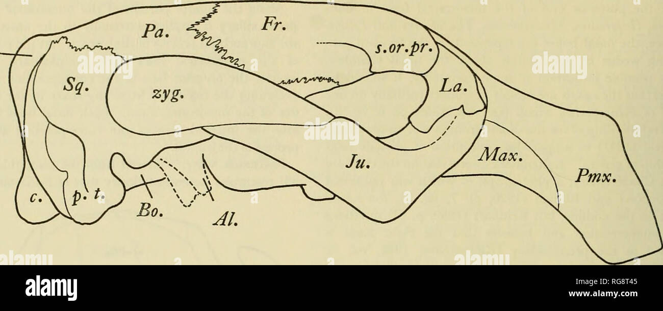 . Bulletin - United States National Museum. Science. 74 UNITED STATES ...