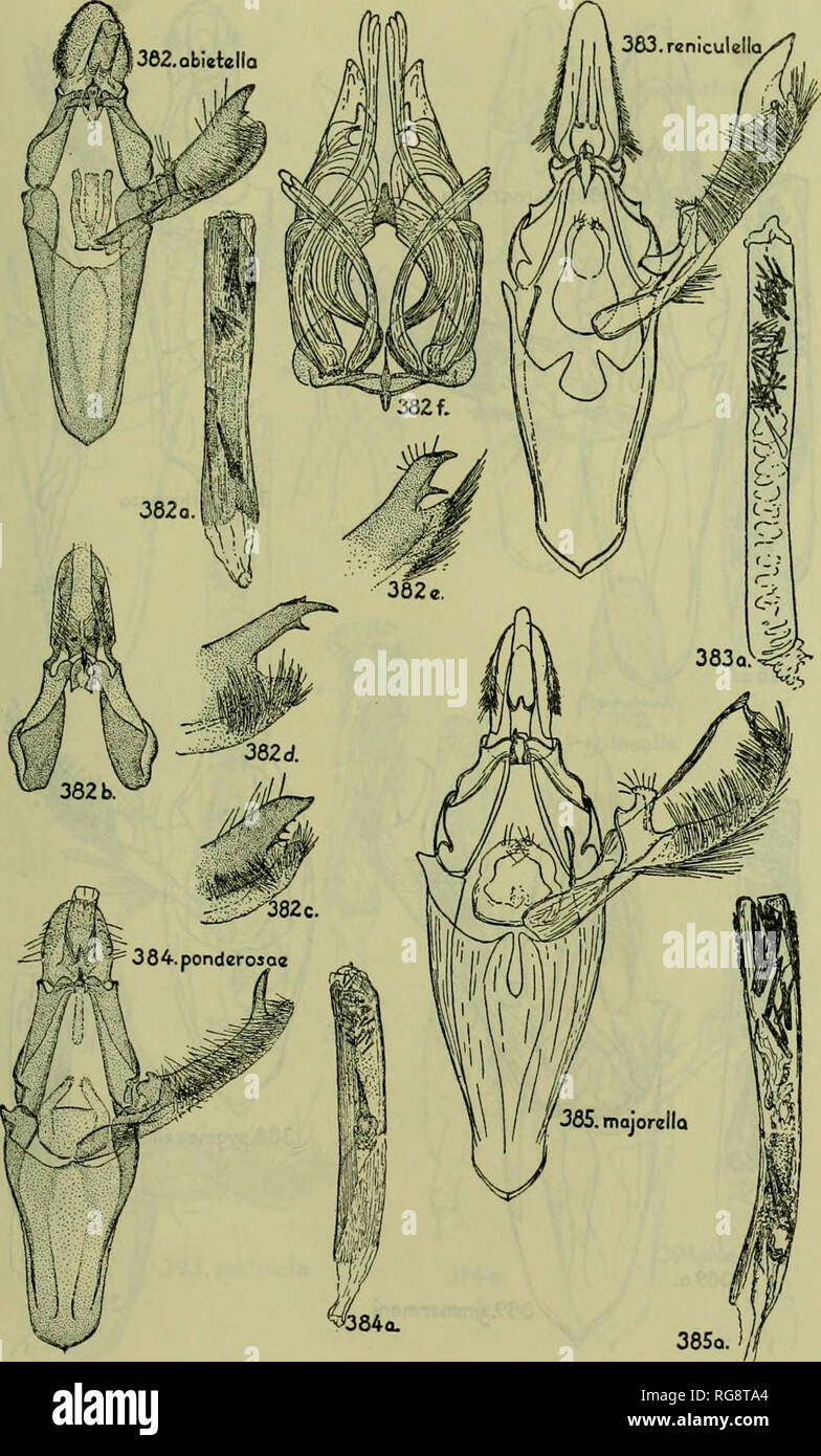 385a hi-res stock photography and images - Alamy