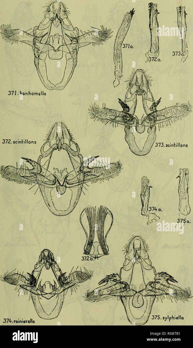 374a hi-res stock photography and images - Alamy