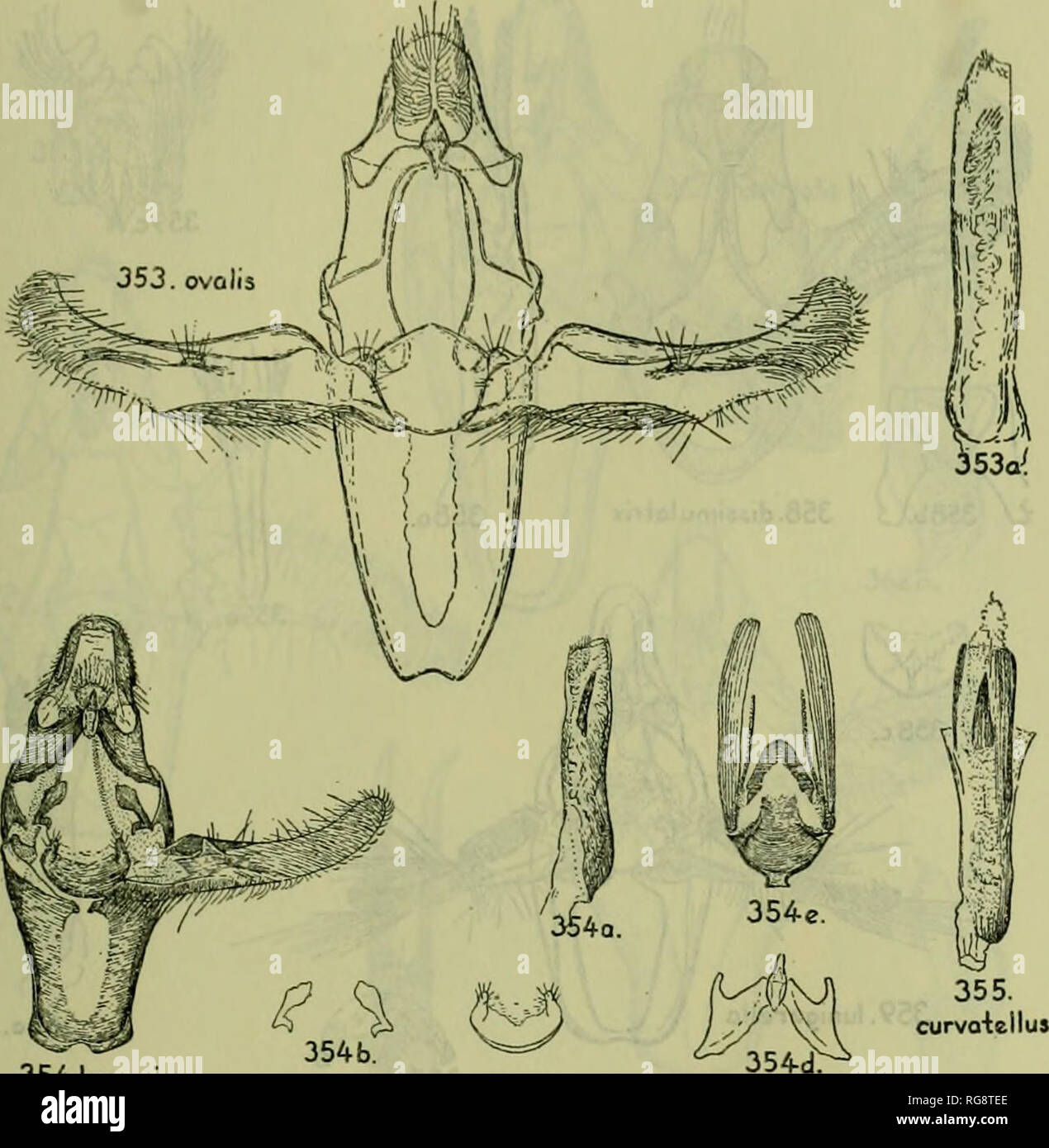 Actrix hi-res stock photography and images - Alamy