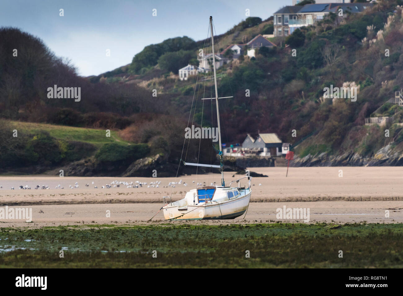 Low tide on the Gannel Estuary in Newquay Cornwall Stock Photo - Alamy