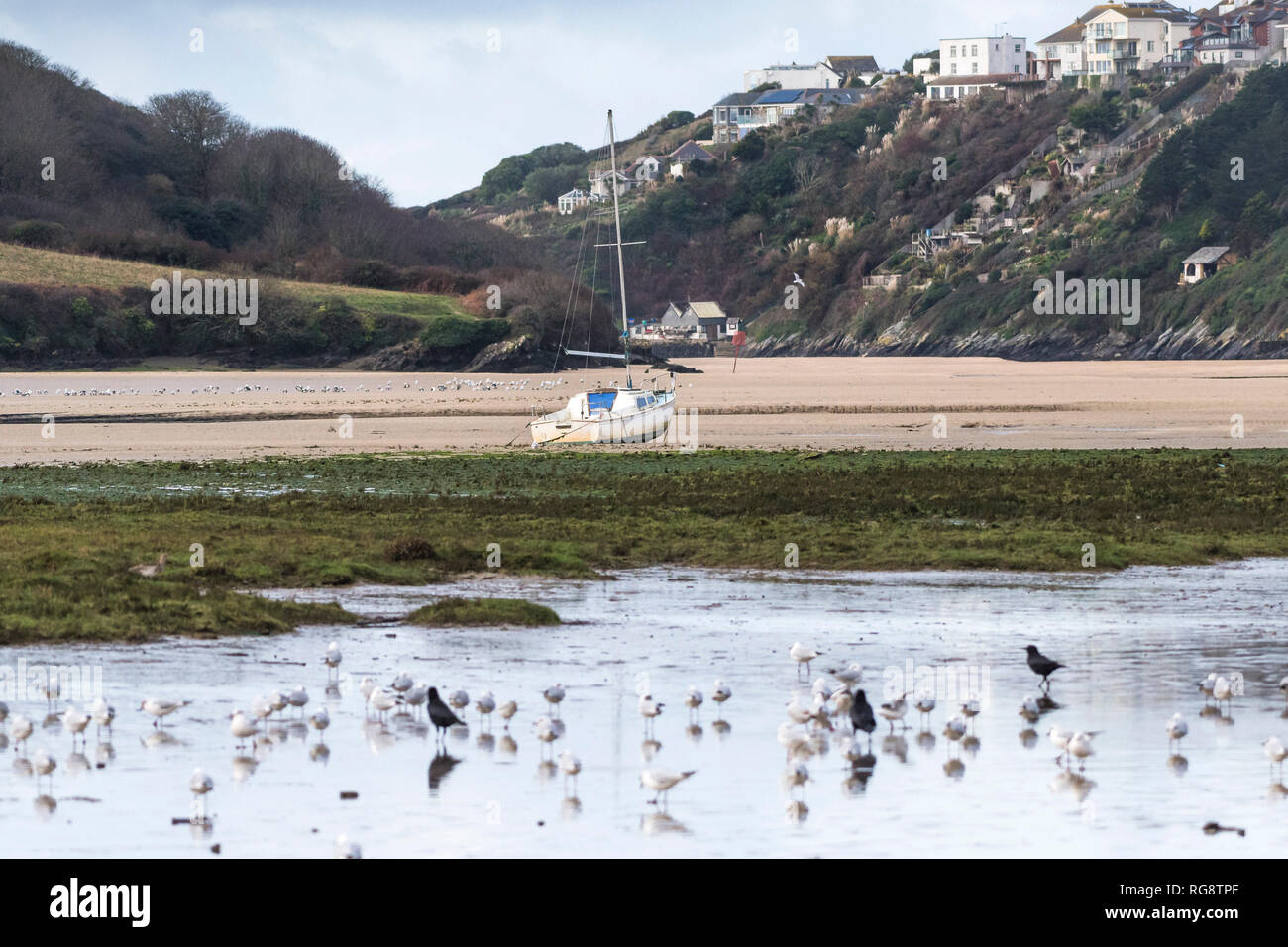 Low tide on the Gannel Estuary in Newquay Cornwall Stock Photo - Alamy