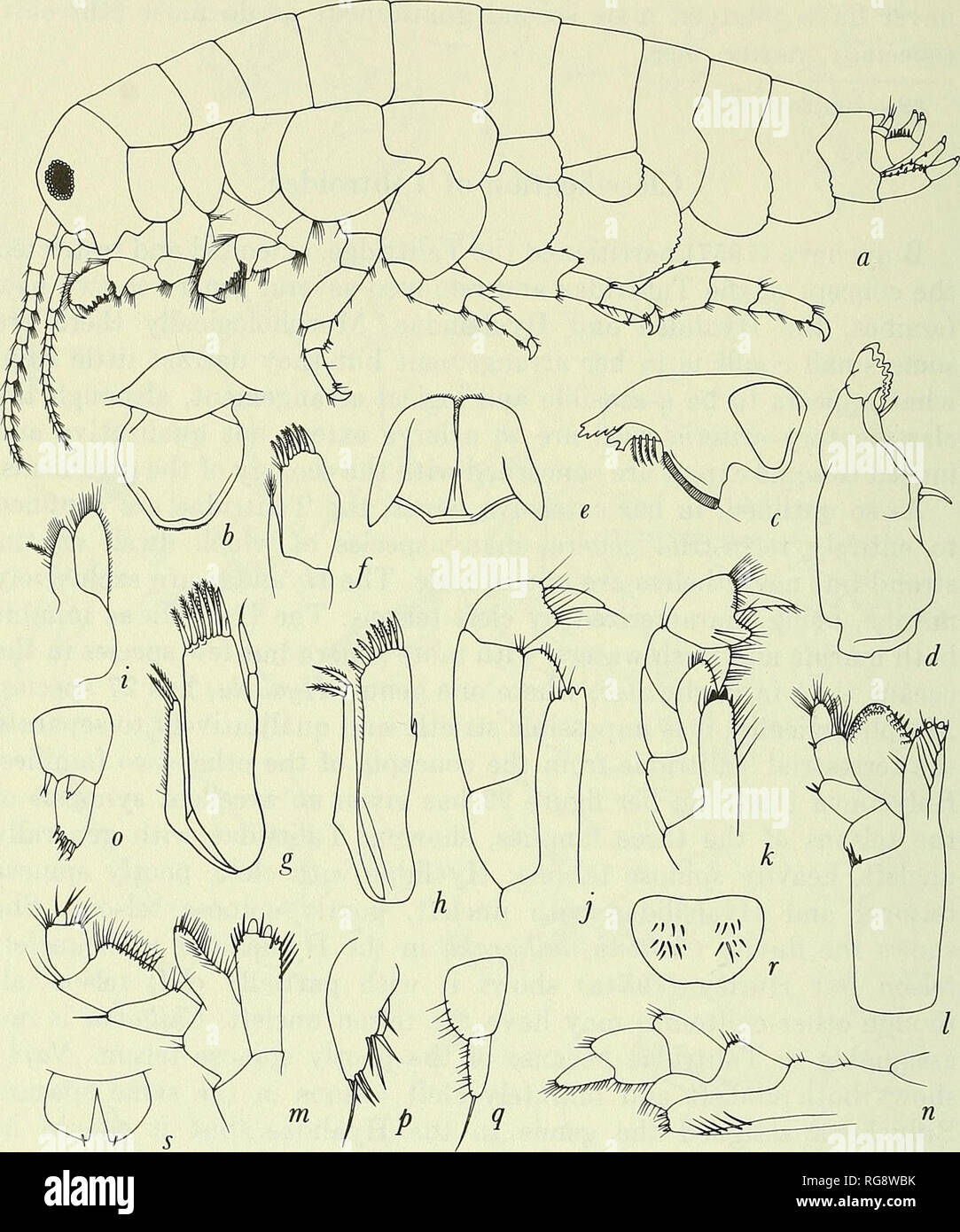 . Bulletin - United States National Museum. Science. 466 U.S. NATIONAL ...