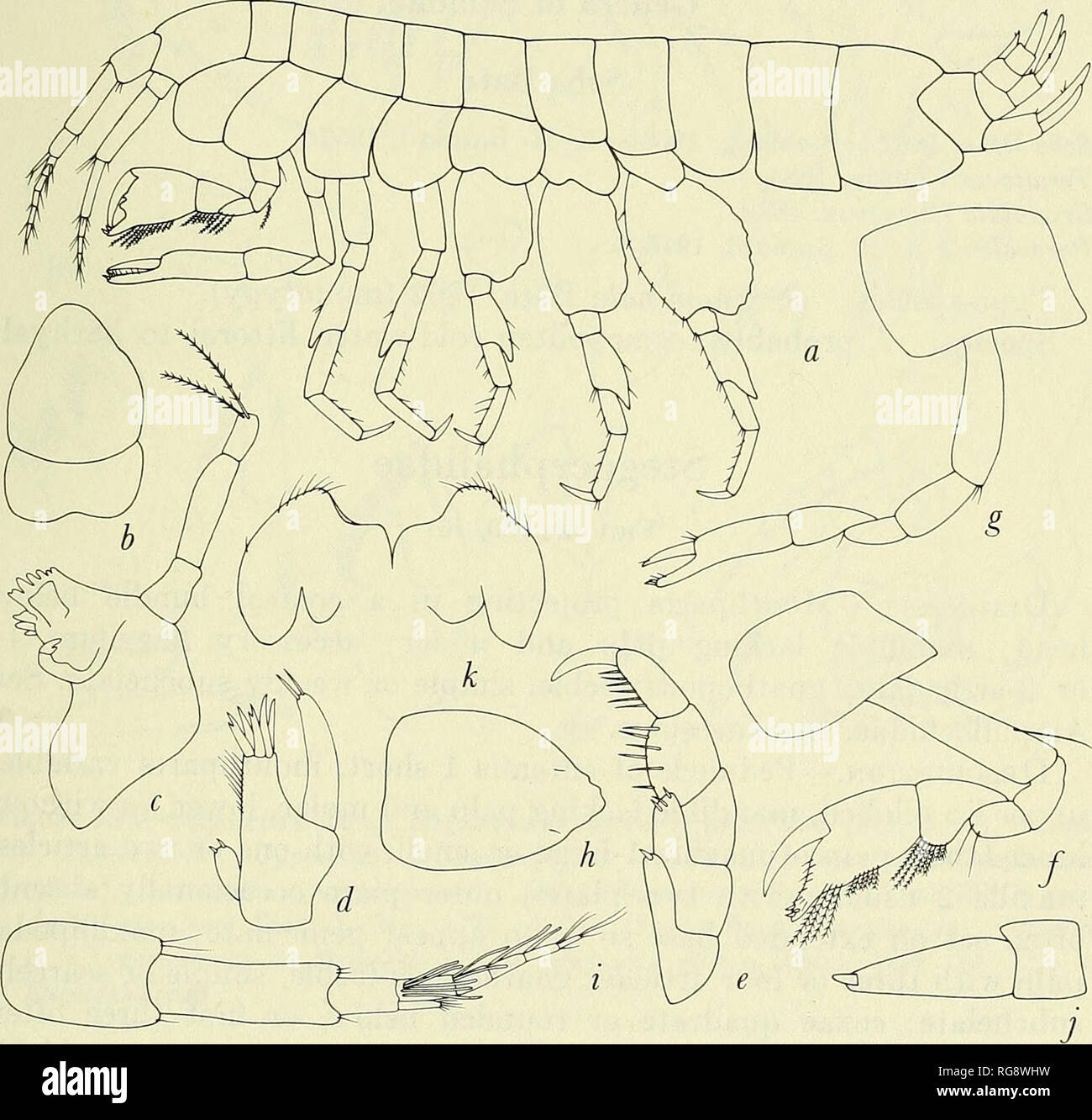 . Bulletin - United States National Museum. Science. MARINfiE ...