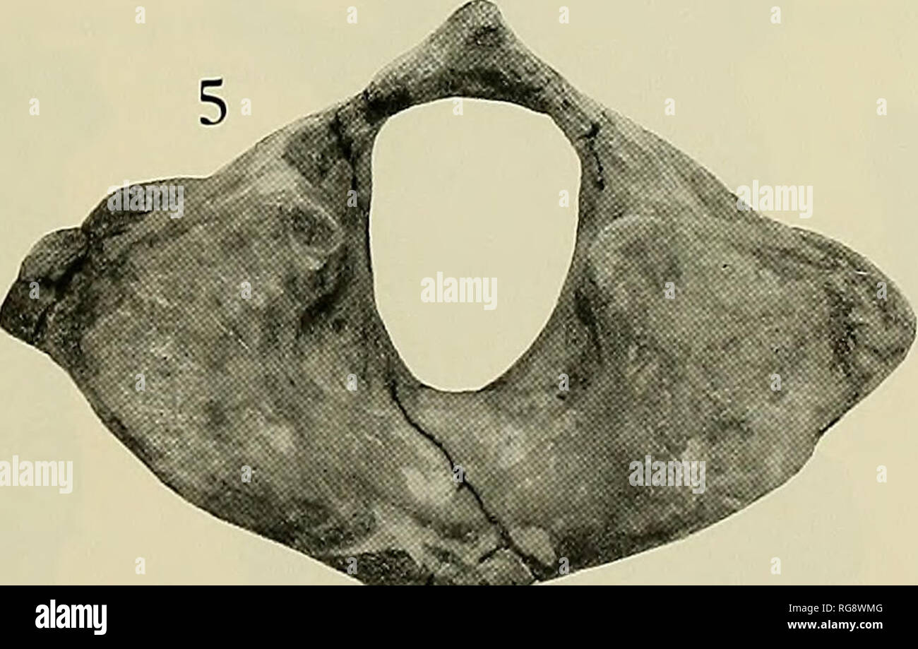 11976 hi-res stock photography and images - Alamy