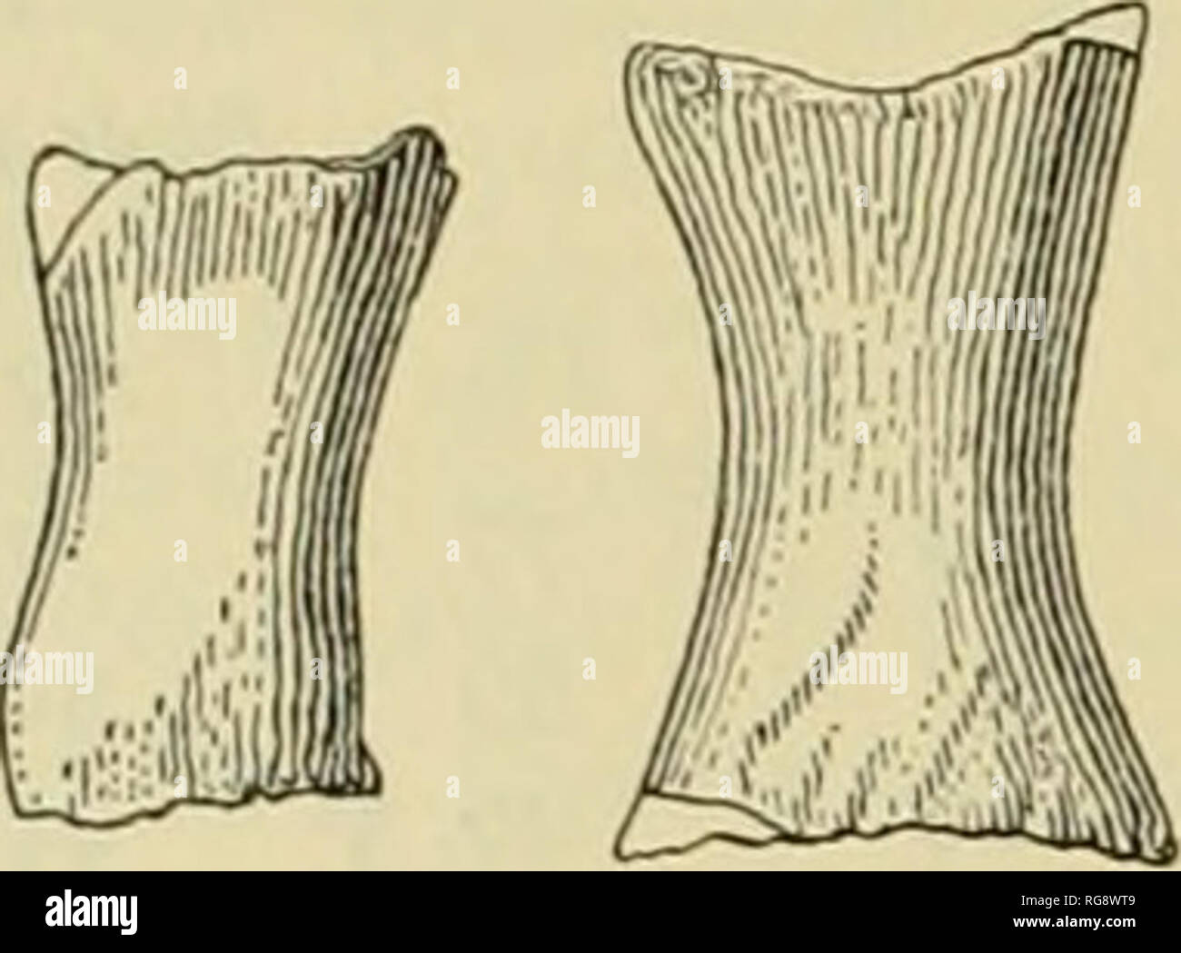 Small medium large science hi-res stock photography and images - Alamy