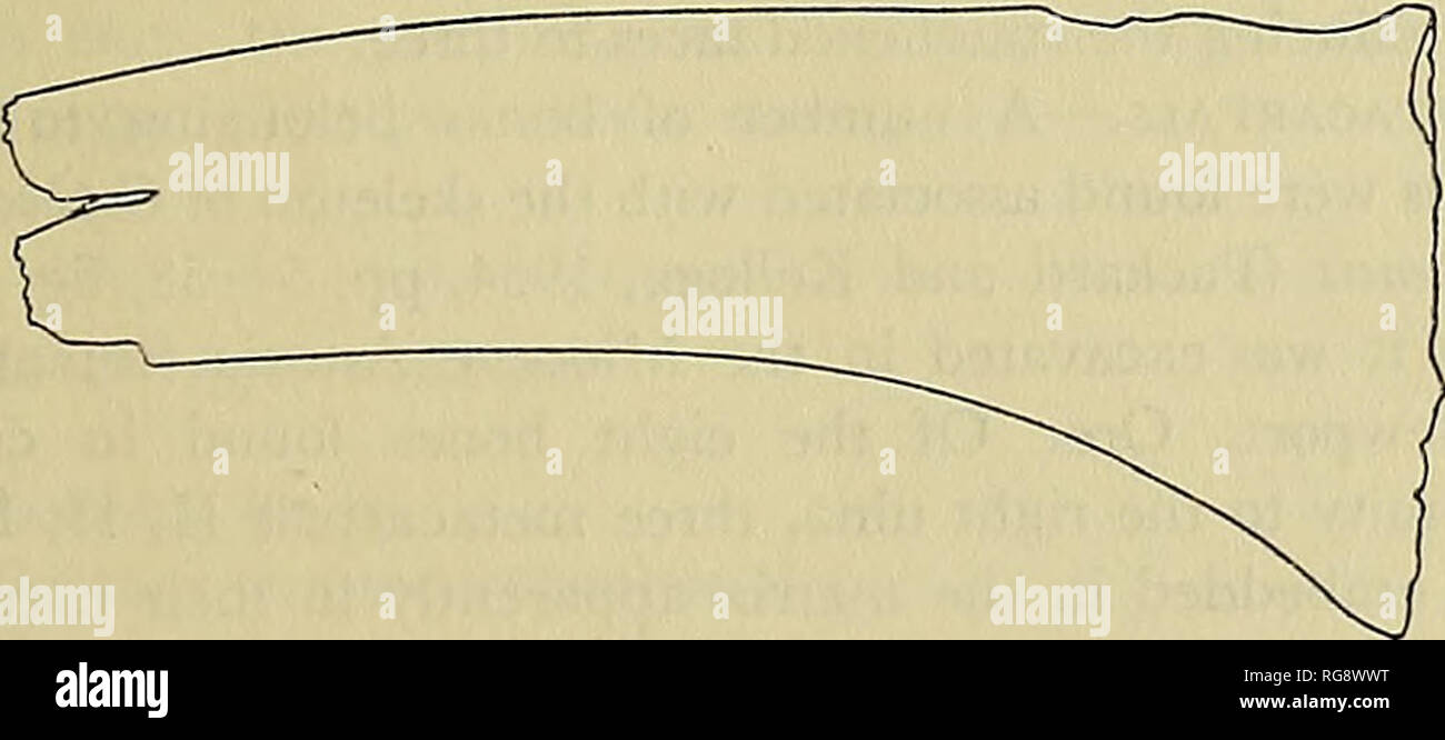 Associated anatomical features hi-res stock photography and images - Alamy