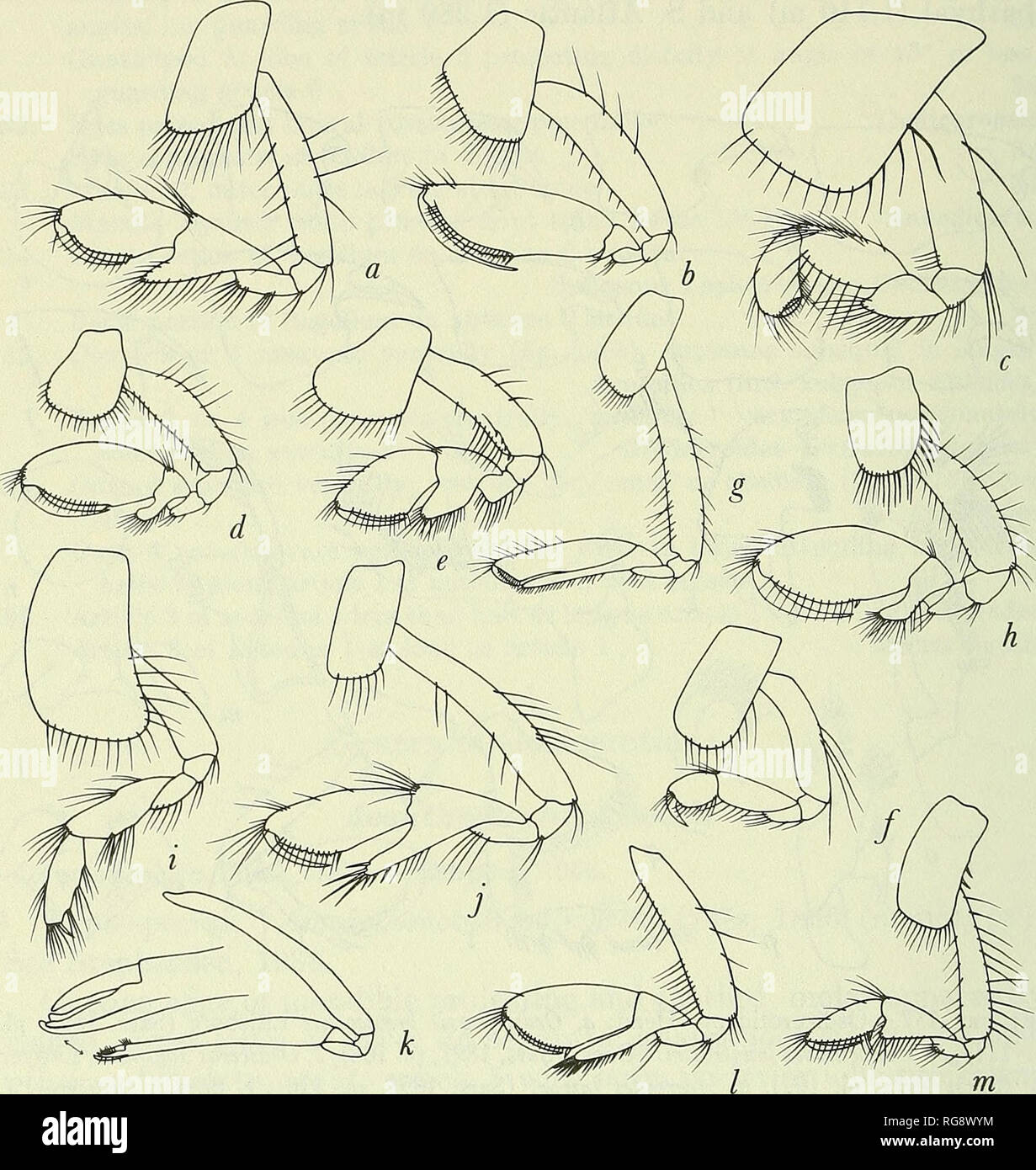 . Bulletin - United States National Museum. Science. 380 U.S. NATIONAL ...