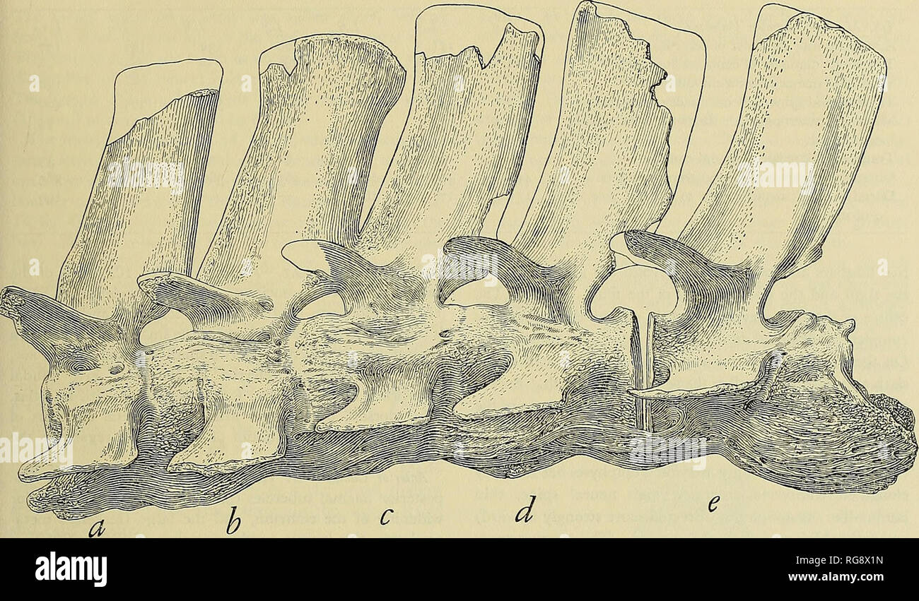 Height 95 mm hi-res stock photography and images - Alamy