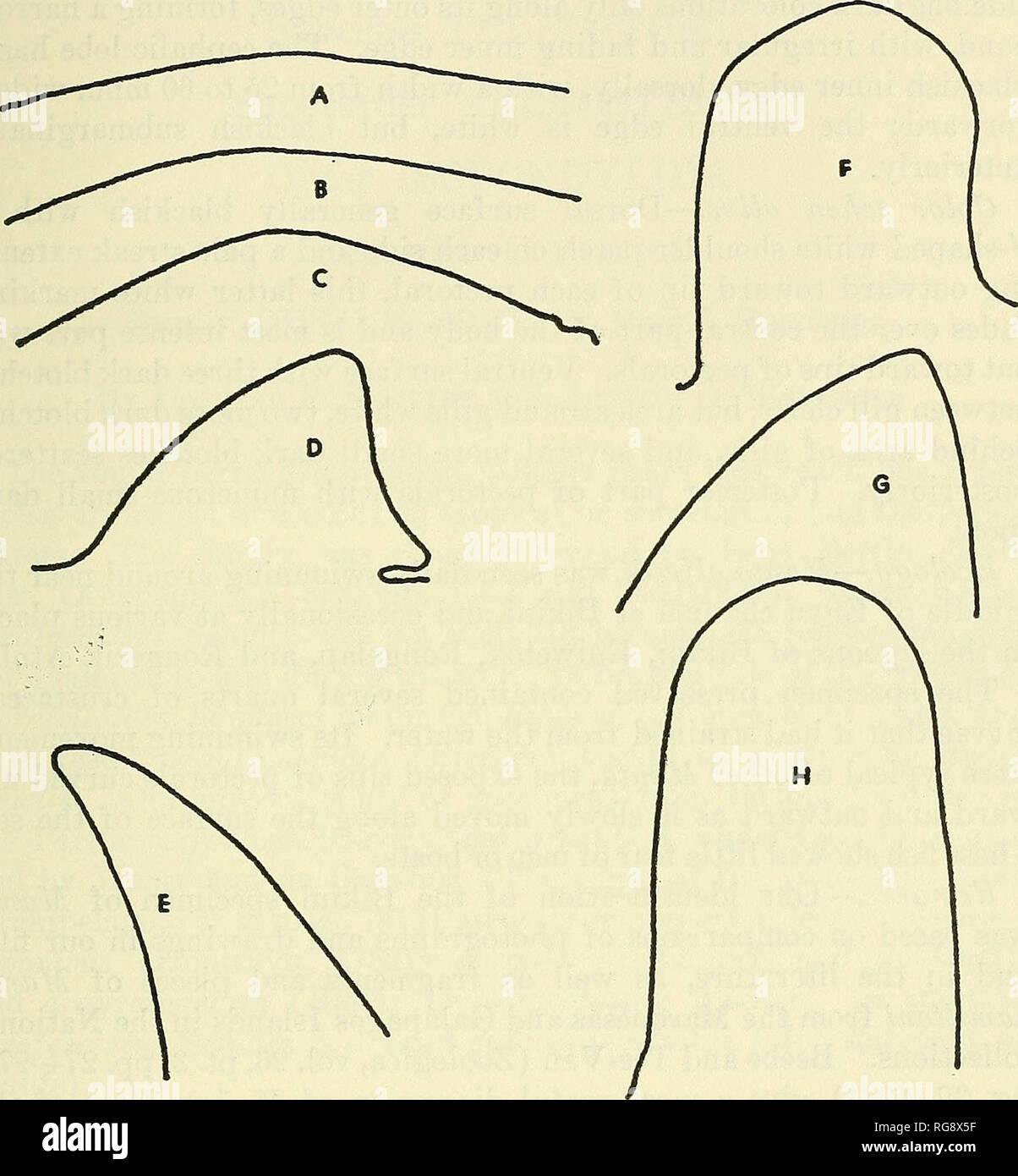 . Bulletin - United States National Museum. Science. FAMILY MOBULIDAE ...