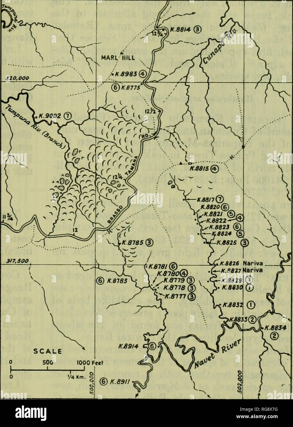 . Bulletin - United States National Museum. Science. STUDIES EST ...