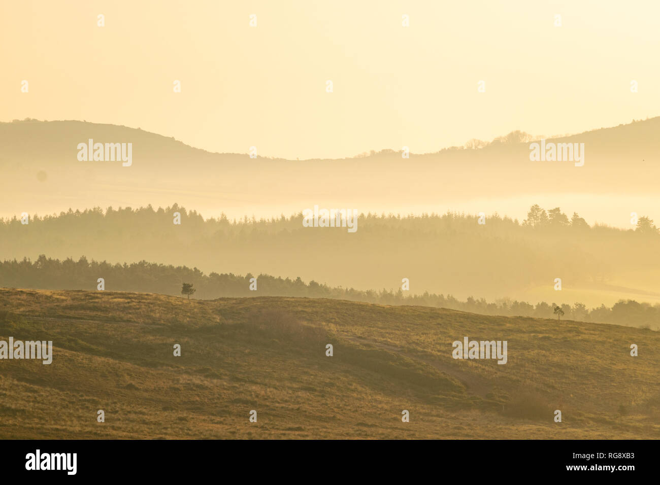 Hills receding into the distance on Woodbury Common, East Devon, South ...