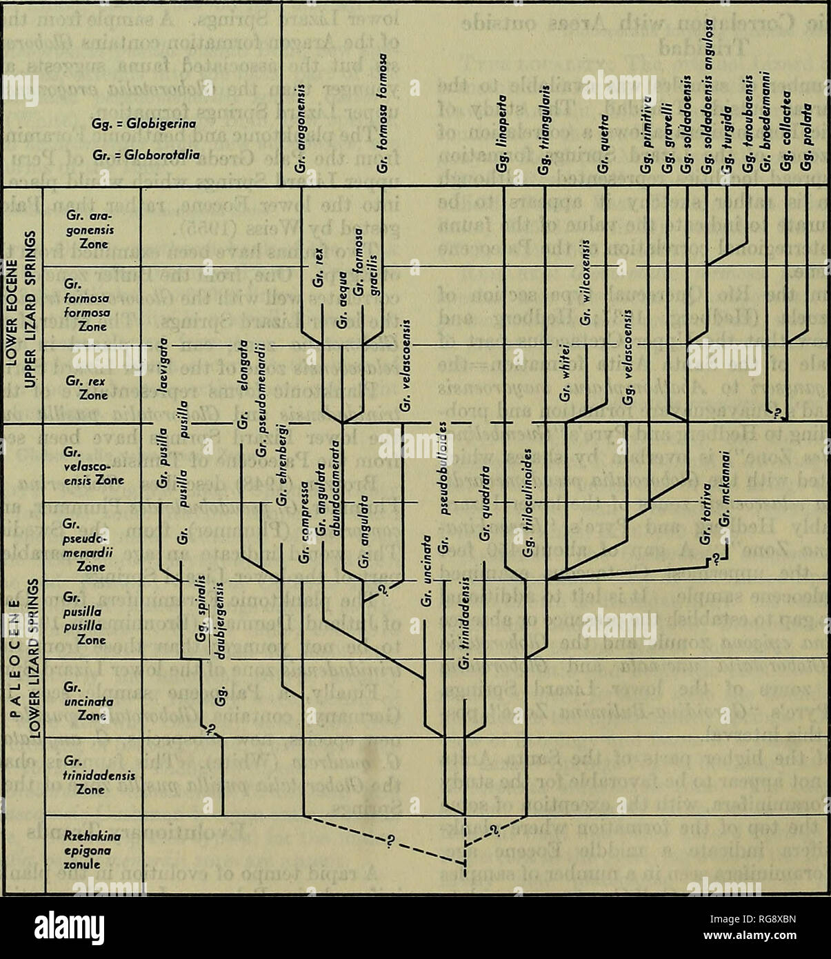 Fifteen subspecies hi-res stock photography and images - Alamy
