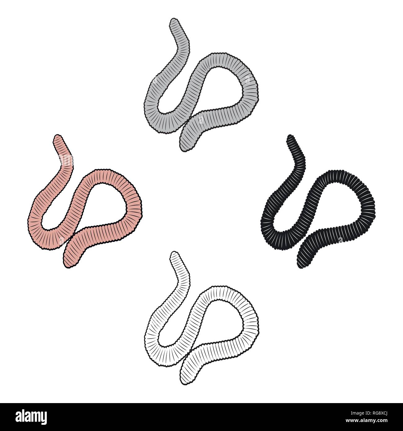 Boneless vector vectors hi-res stock photography and images - Alamy