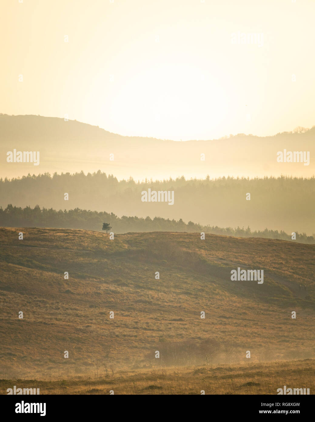 Hills receding into the distance on Woodbury Common, East Devon, South ...