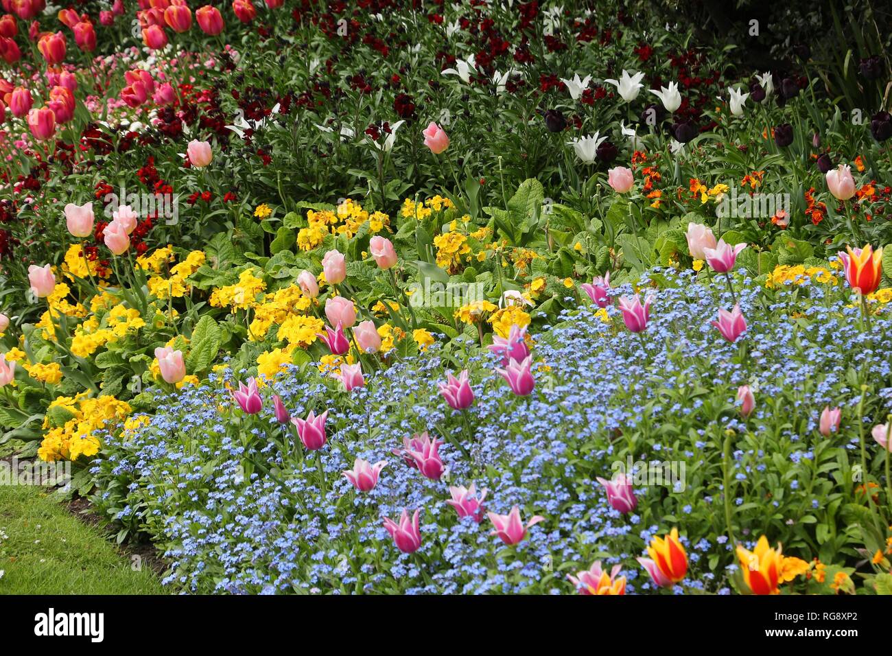 Spring time in London - colorful variety of flowers in St. James' Park ...