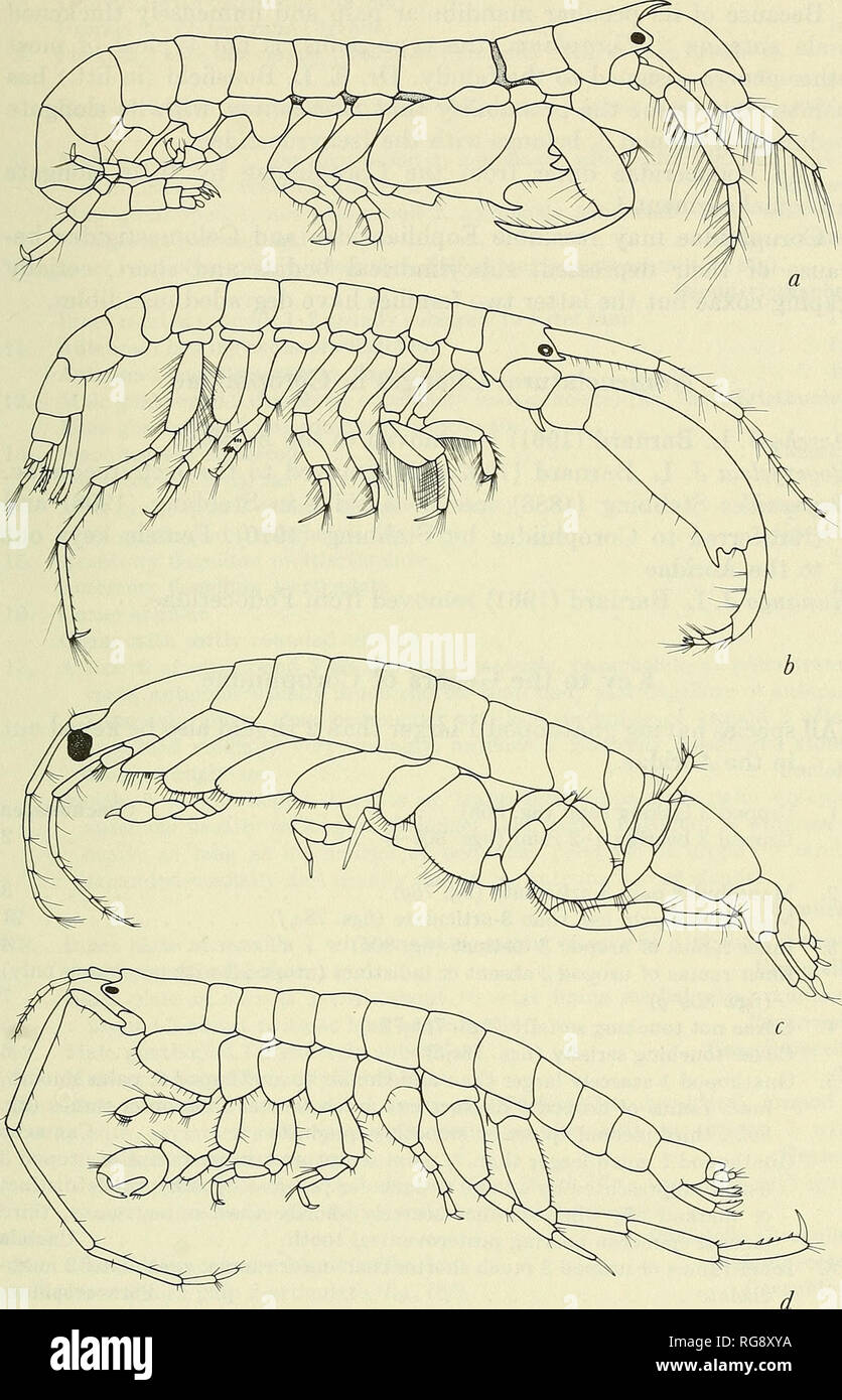 185 221 hi-res stock photography and images - Alamy
