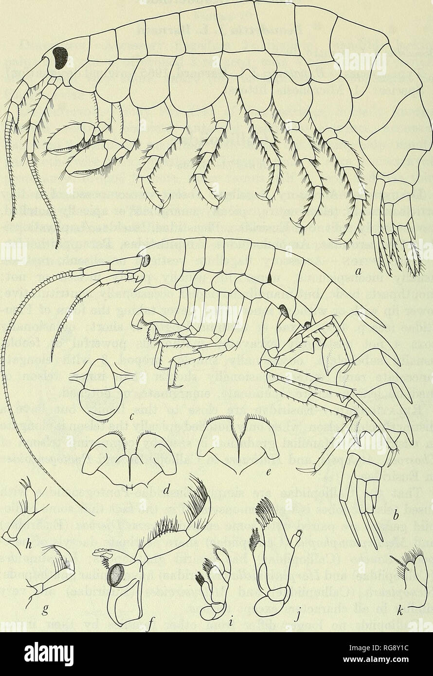 . Bulletin - United States National Museum. Science. 168 U.S. NATIONAL ...